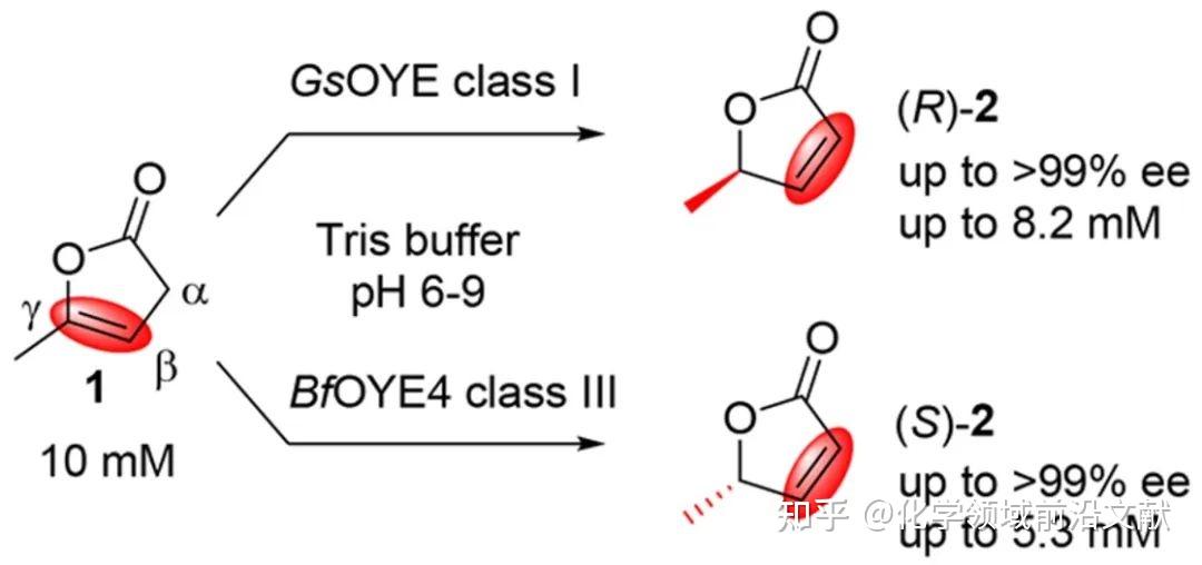 ACS Catal.：立体互补老黄酶催化C=C键异构化反应的不对称质子转移 - 知乎