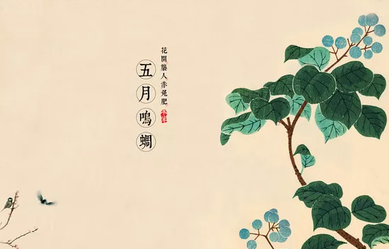 夏日| 思念入愁肠 记忆还是舌头好 - 知乎