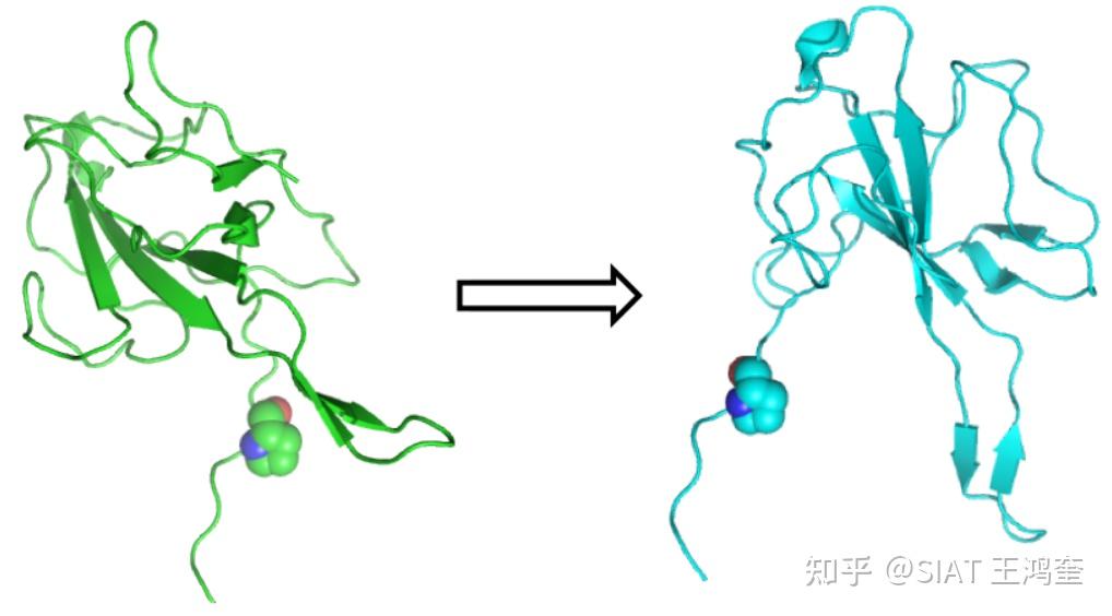 Rosetta_12_Rosetta FoldTree - 知乎