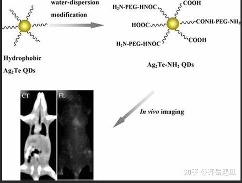 多巴胺Dopamine/二茂铁Ferrocene/β-环糊精Cyclodextrin/叶酸FA修饰Ag2Te量子点 - 知乎