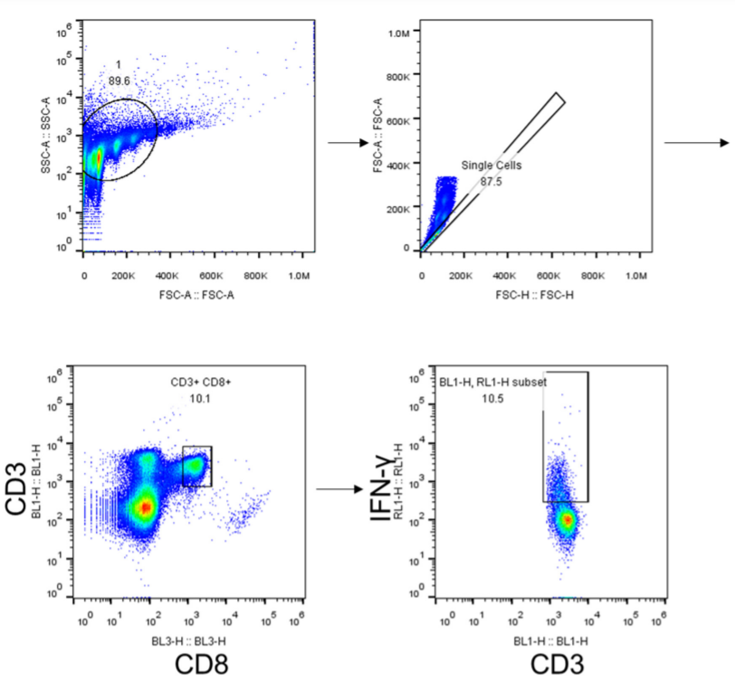 PNAS | 淋巴结靶向递送mRNA癌症疫苗引发强烈的CD8+ T细胞反应 - 知乎