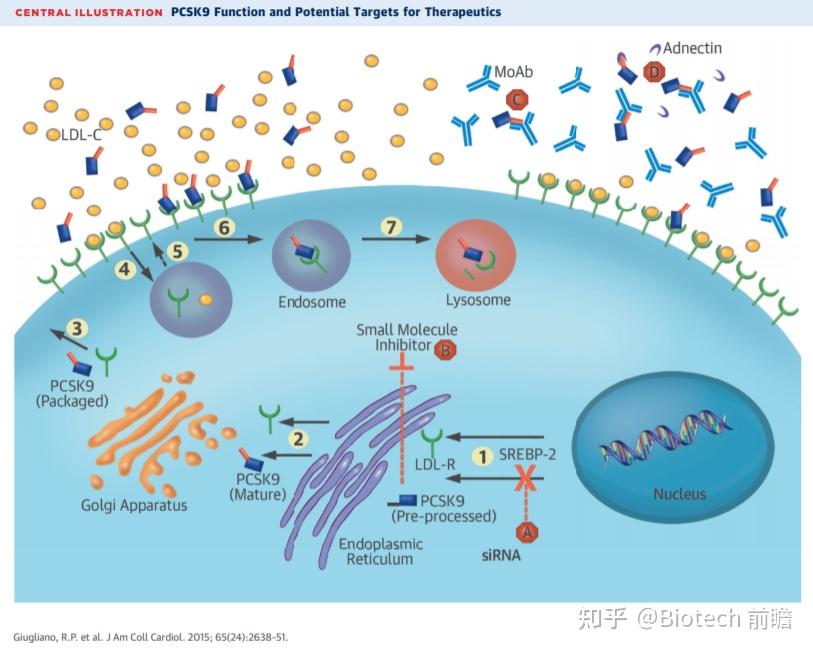药讯丨PCSK9不仅降血脂、联合PD-1抗肿瘤进入临床II期 - 知乎