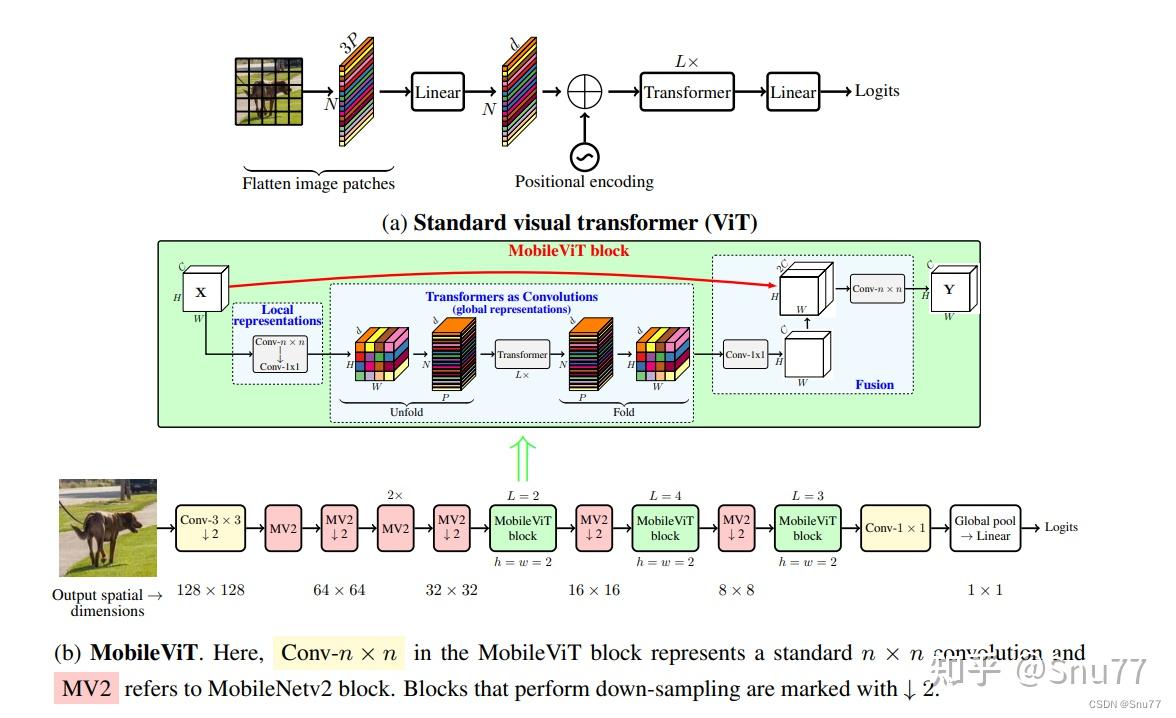 YOLOv8改进 | 主干篇 | 轻量化网络MobileViTv1改进YOLOv8助力轻量化模型 - 知乎
