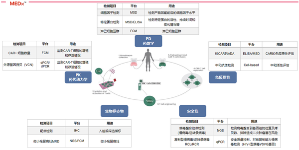 细胞基因治疗（CGT），生物医药领域新方向——概览&经验篇 - 知乎