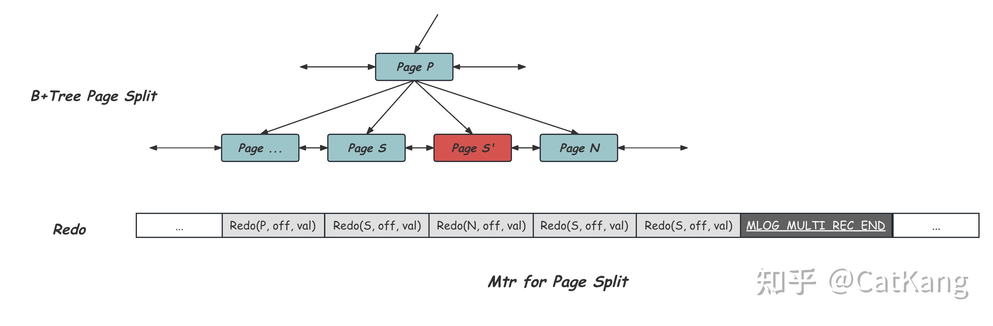 庖丁解InnoDB之B+Tree - 知乎