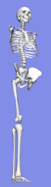 OpenSim交流群问答记录 - 知乎