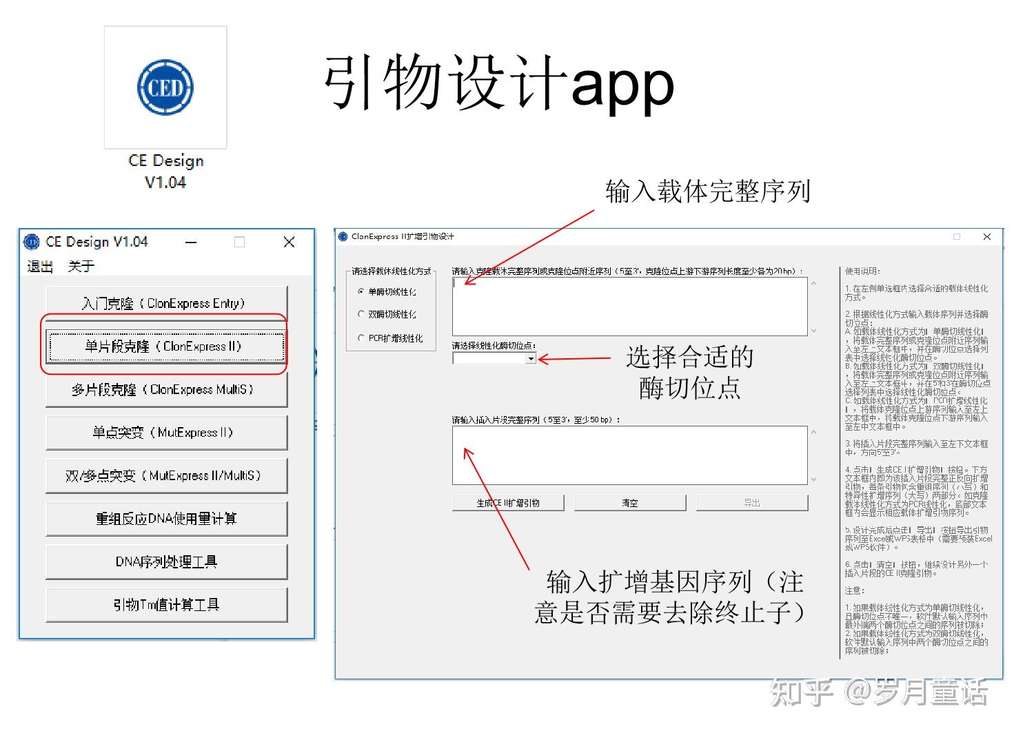 同源重组构建载体 引物设计 知乎