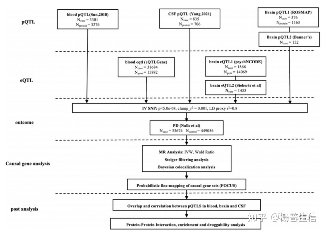 eQTL、pQTL、共定位、孟德尔随机化！8+ - 知乎