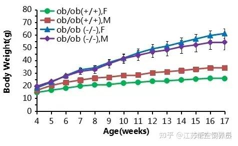 obob 小鼠和 dbdb 小鼠 - 知乎