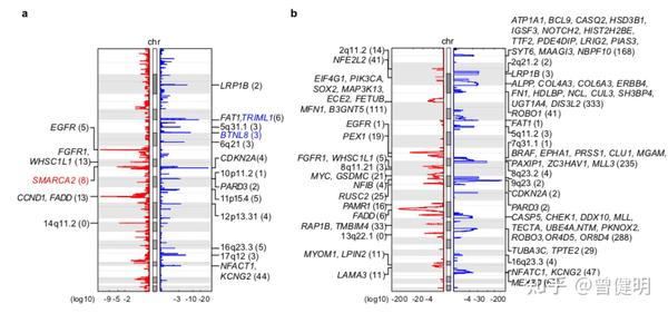 肿瘤拷贝数变异的差异分析应该以这个肺癌脑转移为标准 - 知乎