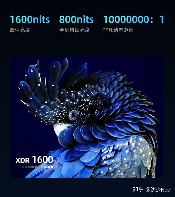 海信电视新款 E8H，500＋ 分区、XDR 级 Mini LED，能否成为 22 年画质最卷的电视？