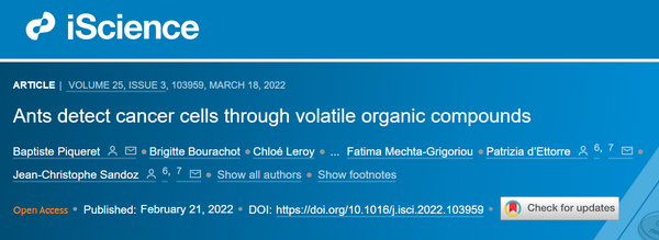iScience | 科学家们训练了一群蚂蚁，以惊人的准确度嗅出癌细胞 - 知乎