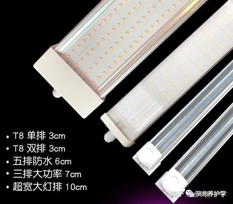 做到这3点，冬天多肉也能养出好状态 - 知乎