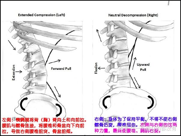 PRI(姿势恢复技术)官方视频及教材学习笔记 - 知乎
