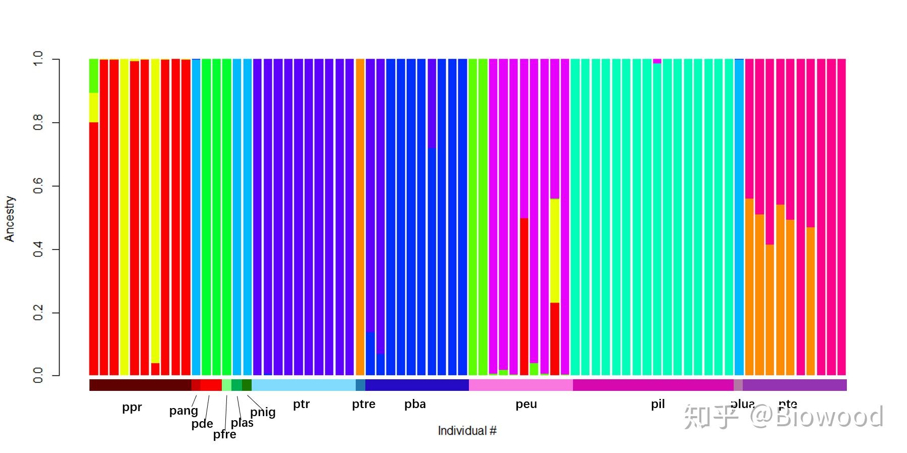 群体遗传结构构建软件--Plink, admixture, phylip, MEGA总结 - 知乎