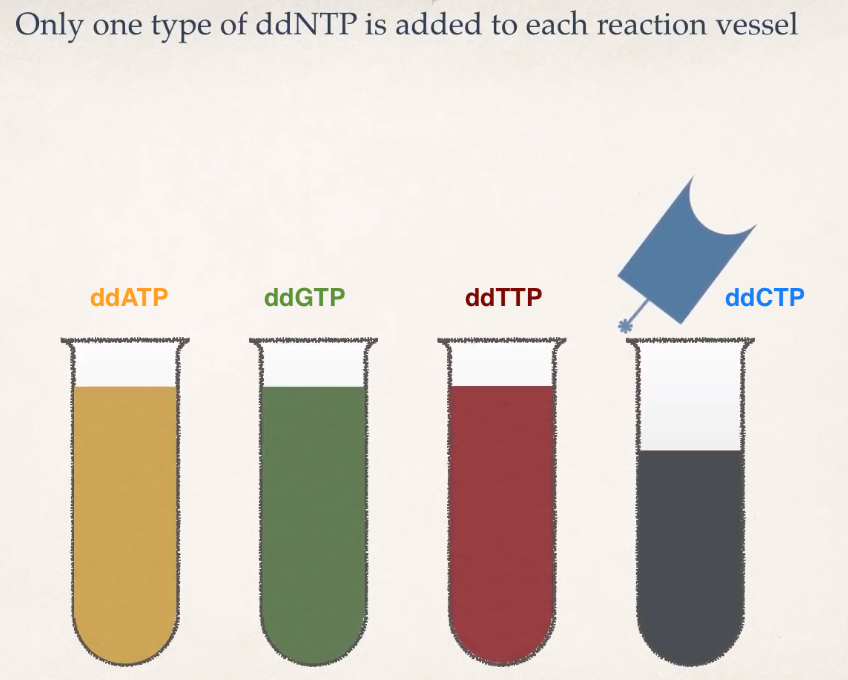 基因组学——(二) 测序技术 - 知乎