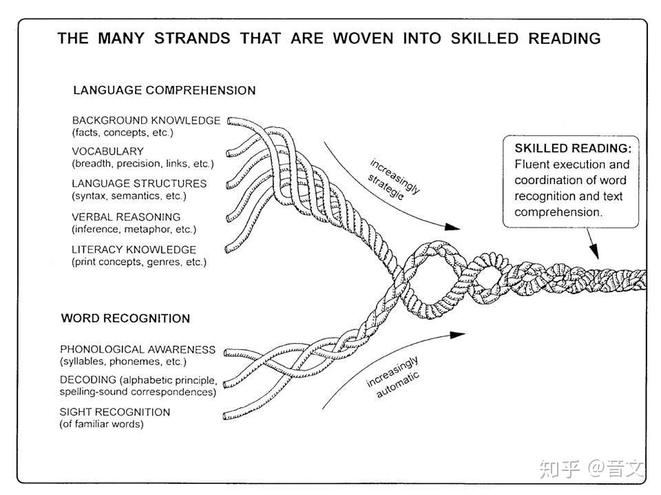 The Reading Rope 的解读给我们听力很多启发 - 知乎