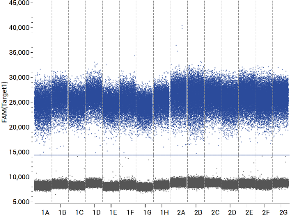 干货分享 | 外源基因拷贝数检测——数字PCR法（ddPCR） - 知乎
