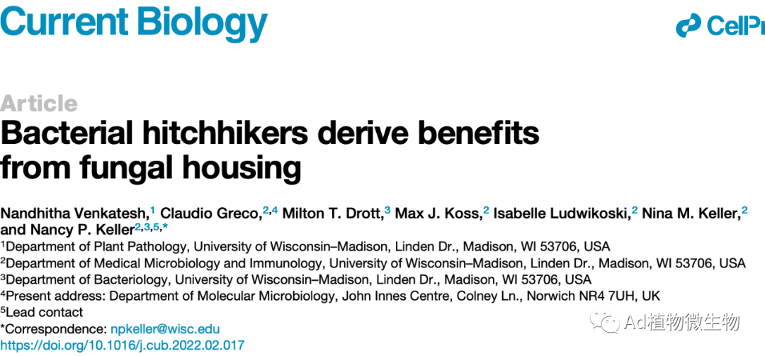Current biology | 研究揭示细菌如何从真菌“顺风车”中获益！ - 知乎