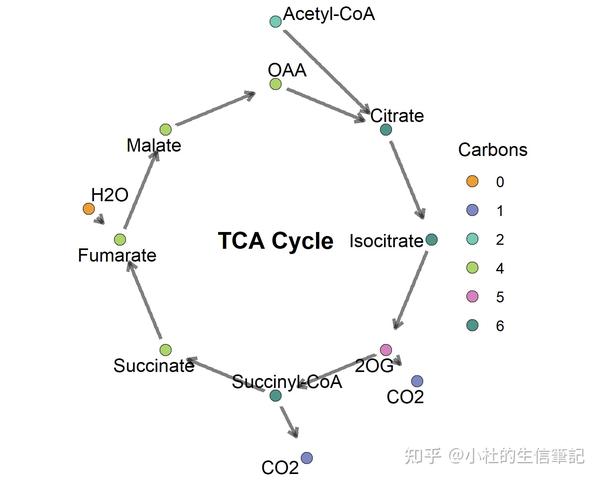 KEGG通路图绘制 | ggpathway包 - 知乎