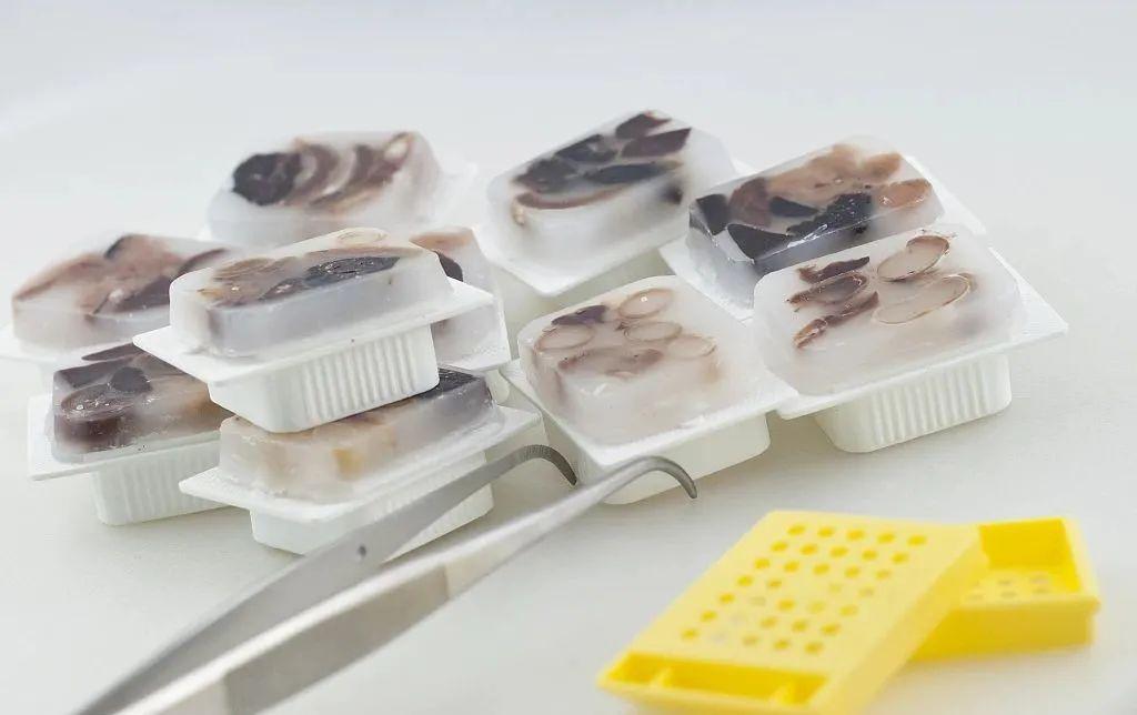 M20 Seq与10x Flex数据对比视频详解来了！ - 知乎