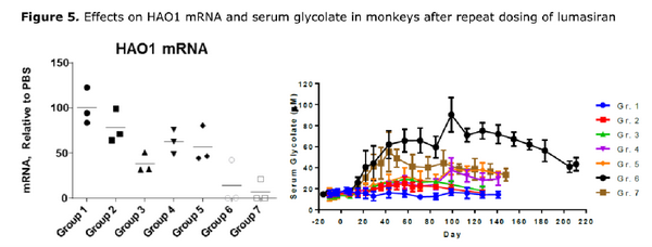 FDA 批准上市的 siRNA 药物非临床药效学研究 —— 复盘与启示 - 知乎