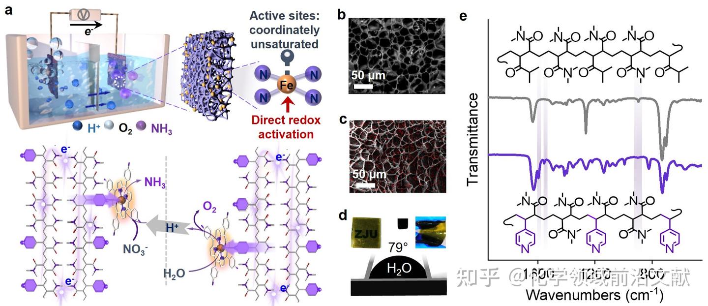 浙江大学单冰Angew：铁配位共价分子网络用于电催化硝酸盐还原产氨和水氧化 - 知乎