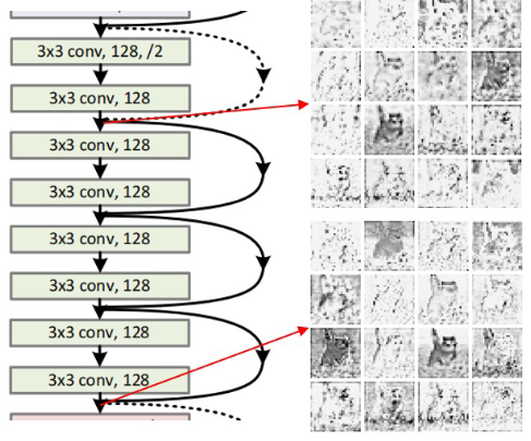解读模型压缩17：G-GhostNet：打造适用于 GPU 和 NPU 端的 GhostNet - 知乎