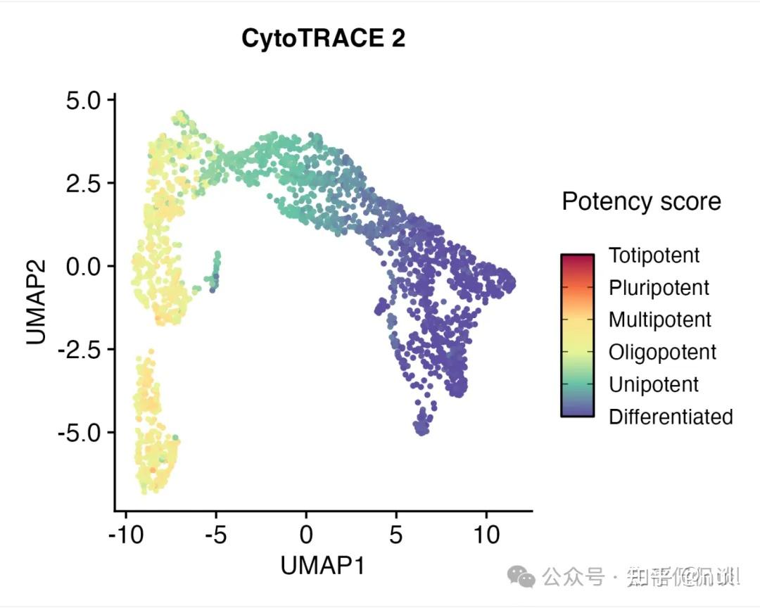 CytoTRACE 2 预测细胞分化潜力 - 知乎