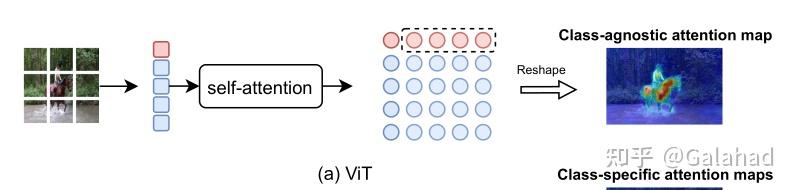 CVPR2022 | MCTformer：谁说Vision Transformer只能有一个class token？ - 知乎