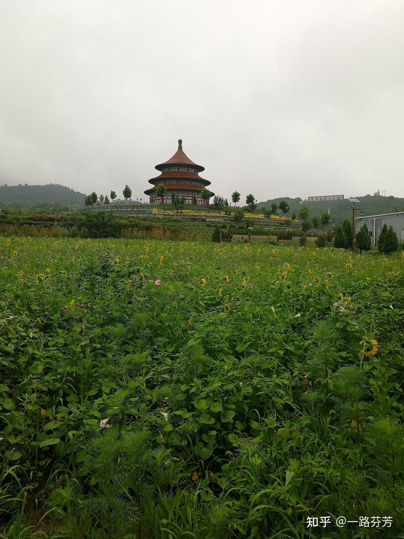 出去走走 - 知乎