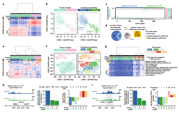 Nature genetics | 高通量单细胞ChIP-seq识别乳腺癌染色质状态的异质性 - 知乎