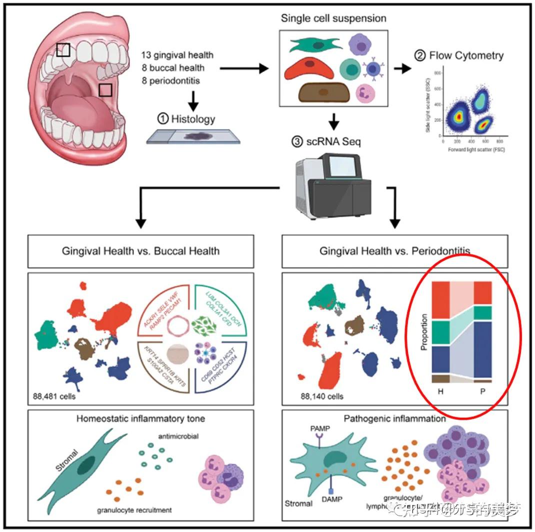 跟着Cell学单细胞转录组分析(十四):细胞比例柱状图---连线堆叠柱状图 - 知乎