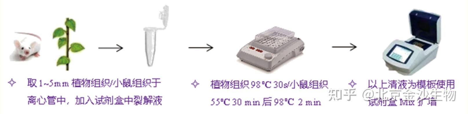 小知识 | PCR扩增那些事（三） - 知乎