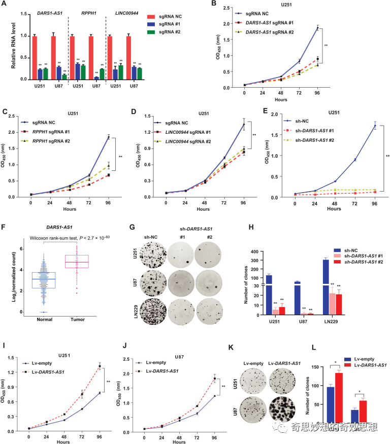 13+ sci 多组学联合分析+大量实验验证，生信提供方向，实验提供验证，可作为国自然申请的模板 PMID: 37540752 - 知乎