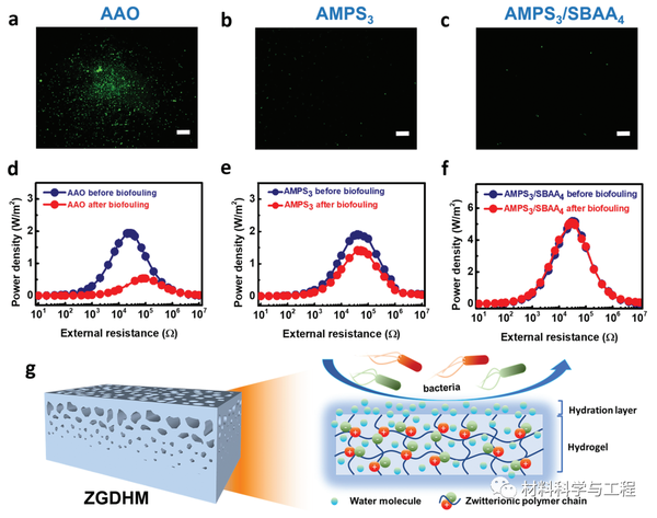 《AFM》：优异的抗生物污染！一种水凝胶膜用于可持续的渗透能量收集 - 知乎