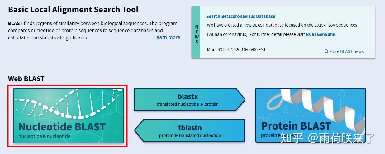 使用NCBI做BLAST，我应该选择哪个Database - 知乎