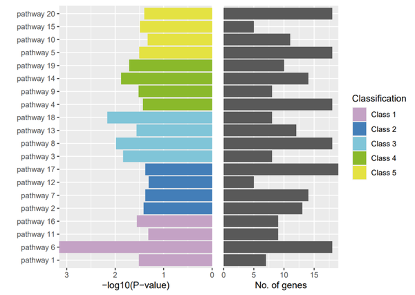 这图怎么画| 富集分析之双向柱状图 - 知乎