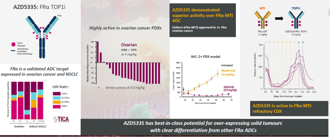 首款FRα ADC上市一年销量超2亿美元，FRα ADC进展如何？ - 知乎