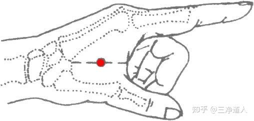 一日一穴 之 015 合谷 - 知乎