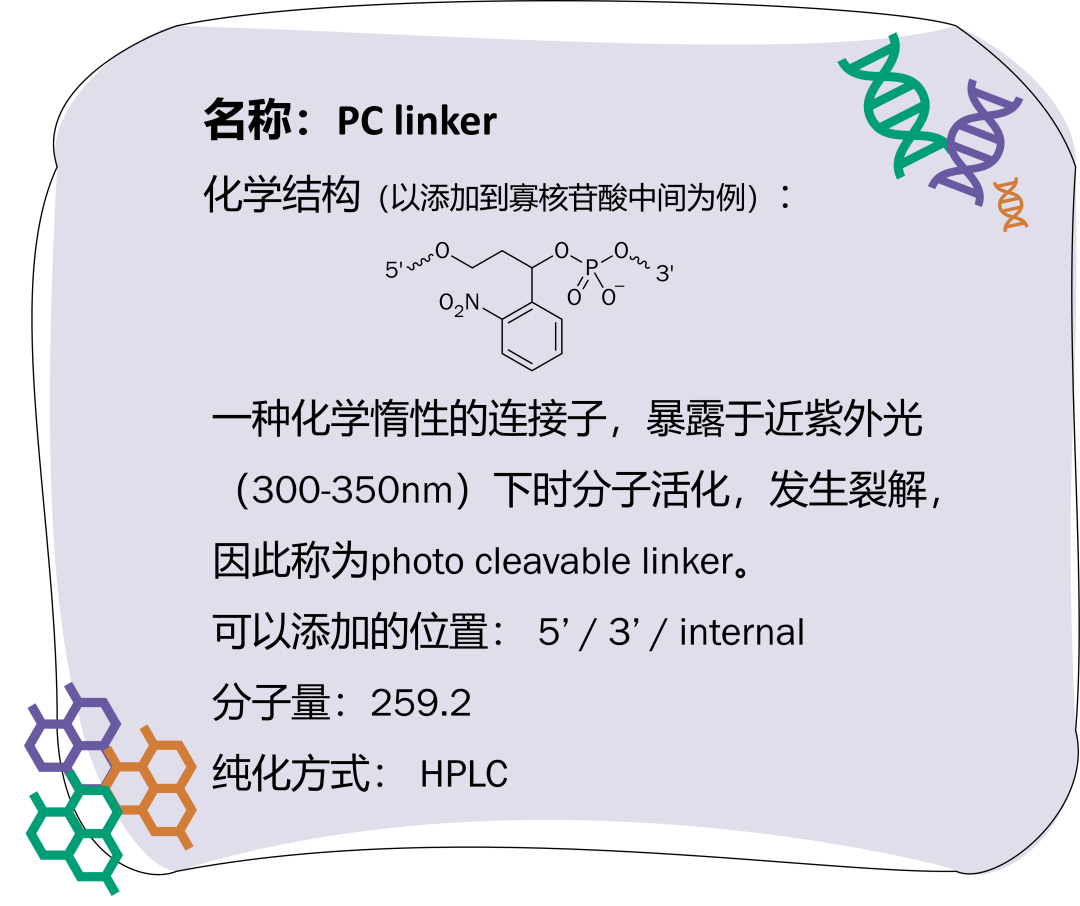 浅谈寡核苷酸spacer修饰的作用 - 知乎