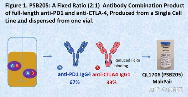 国内PD-1/CTLA-4抗体技术及最新数据汇总 - 知乎