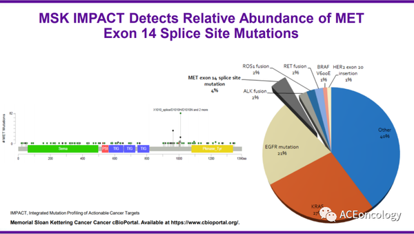 大咖说｜Paul Paik 教授谈 MET 14 外显子跳跃突变非小细胞肺癌（NSCLC）的治疗策略 - 知乎
