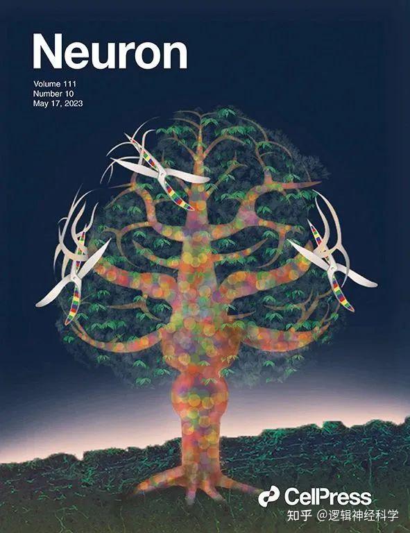 Neuron︱收藏！2023年期刊封面文章汇总 - 知乎