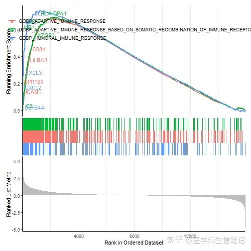 GSEA富集分析可视化 - 知乎