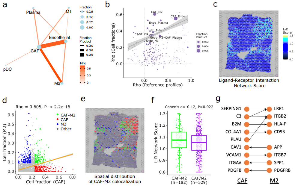 Nat Commun｜肿瘤空间转录组数据辅助分析工具——SpaCET，可准确预测细胞空间分布 - 知乎
