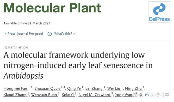 Mol Plant | 山东农大王勇课题组揭示GDS1调控低氮诱导的叶片衰老并提高植物氮素利用率的分子机制 - 知乎