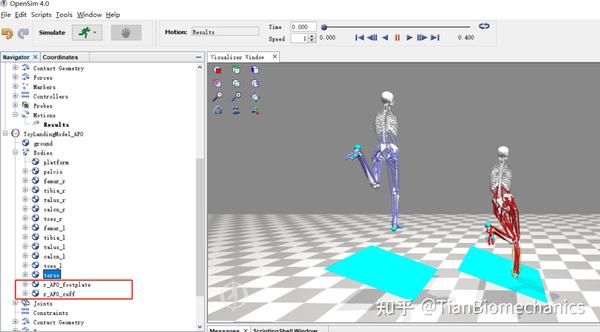 Opensim 进阶教程-预防踝关节损伤的仿真设计 - 知乎