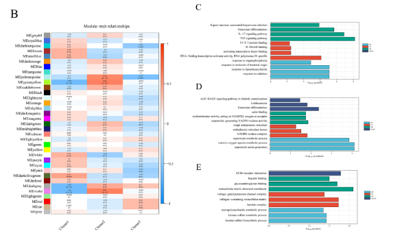 6分+纯生信！bulk RNA-seq和单细胞联合分析，外加代谢新切入点“花生四烯酸代谢”！助力发文的巧妙思路，值得借鉴~ - 知乎
