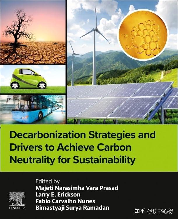 Decarbonization Strategies and Drivers to Achieve Carbon Neutrality for ...